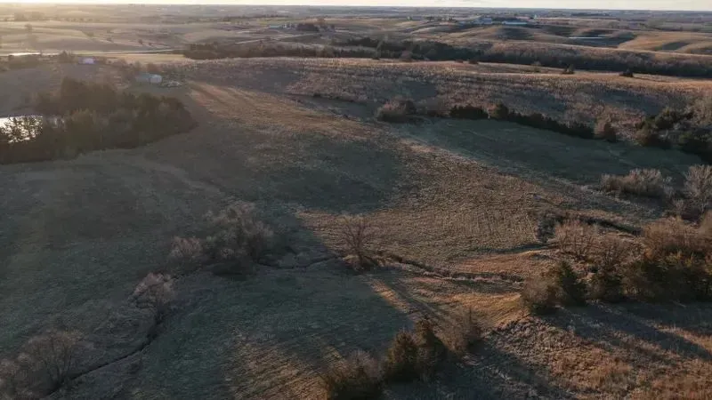 Ringgold County Iowa Land for Sale | 235 Acres with CRP Income | Farms ...