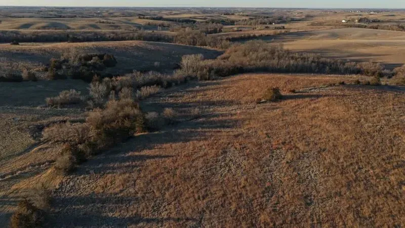 Ringgold County Iowa Land for Sale | 235 Acres with CRP Income | Farms ...